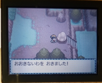 HGSSサファリゾーンのブロックってどこで設置できるんですか？園長から幾... - Yahoo!知恵袋