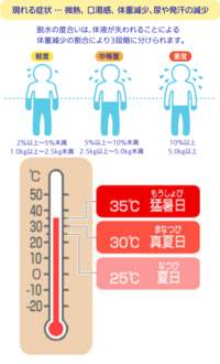 熱中症で嘔吐ってしますか？ - します。症状としてはⅡ度（中等症）に該当しま... - Yahoo!知恵袋