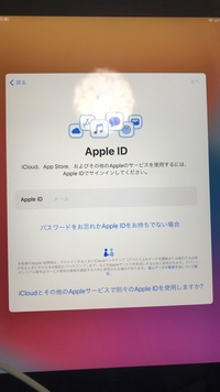 iPadの設定で元々持っているAppleIDとは別に新しく設... - Yahoo!知恵袋