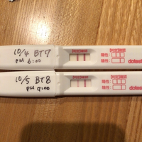 4AA胚盤胞移植してBT8日目です。BT7日目にフライング検... - Yahoo!知恵袋