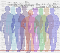 周りみんな175cm以上あるのに自分だけ169センチのチビだ... - Yahoo!知恵袋