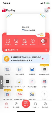 この画面のはPayPayマネーですか？赤色の所が水色の方がPayPay... - Yahoo!知恵袋