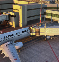 msfsで福岡空港のシーナリーを購入したのですが明らかにバグっていて困... - Yahoo!知恵袋