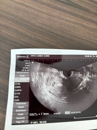 5W3D付近で産婦人科にかかりました。排卵日は4月4日、5日... - Yahoo!知恵袋