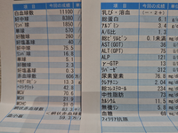 nfk様こんばんは。大変お世話になっております。https:... - Yahoo!知恵袋