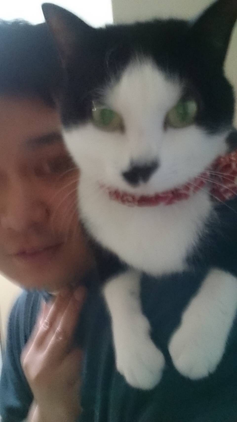 からピチのゆあんくんとえとさんってリアルで付き合ってるんですか…？今日男友達... - Yahoo!知恵袋