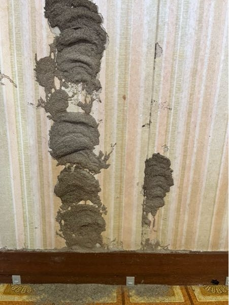 20Aブレーカーの回路なのにスイッチやコンセントの定格が15A... - Yahoo!知恵袋