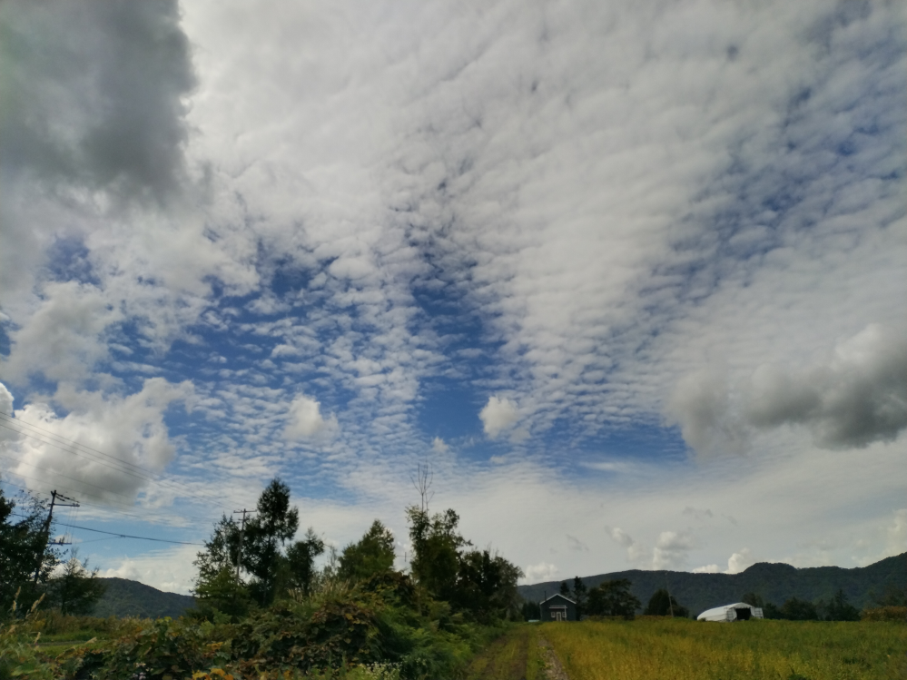 この動画のhttps://youtu.be/rGyQHyDMZZI?si=U... - Yahoo!知恵袋