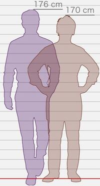 男性の身長”176cm”とはどういう印象ですか？ - 高すぎても女性... - Yahoo!知恵袋