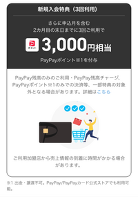 これの意味を教えてくださいттPayPay残高のみの使用、PayPayポ... - Yahoo!知恵袋