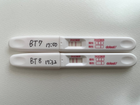 BT8の濃さからみて、hcgの予測数値はどれほどでしょうか？（... - Yahoo!知恵袋