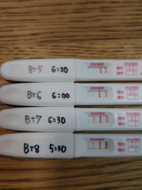 体外受精BT5からフライング検査しています。BT8がBT7に比... - Yahoo!知恵袋