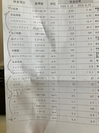 nfk様、いつも的確なご回答をいただきありがとうございます。再度、慢性腎... - Yahoo!知恵袋