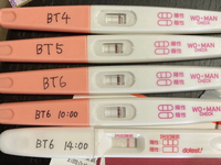 体外受精のフライング検査8/16に初めての胚盤胞移植でした。 - BT4... - Yahoo!知恵袋