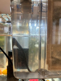 金魚を飼い始めて二週間の素人です。水槽はGEXグラステリアFL200フィ... - Yahoo!知恵袋