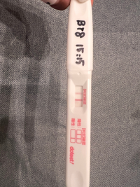 胚盤胞移植について質問です。2回目の胚盤胞移植から本日BT8に... - Yahoo!知恵袋