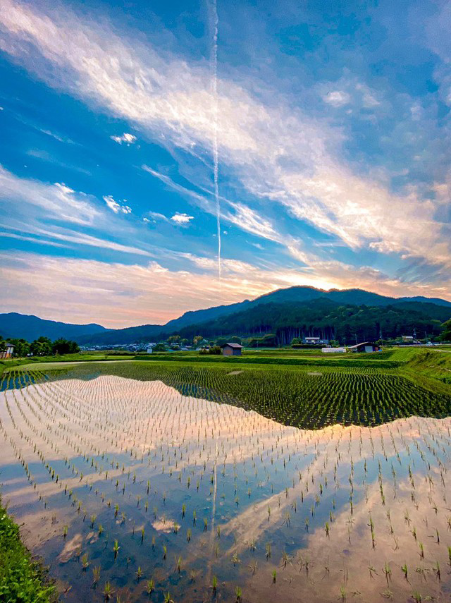 オフコース好きな曲 - 「YESNO」https://youtu.be... - Yahoo!知恵袋