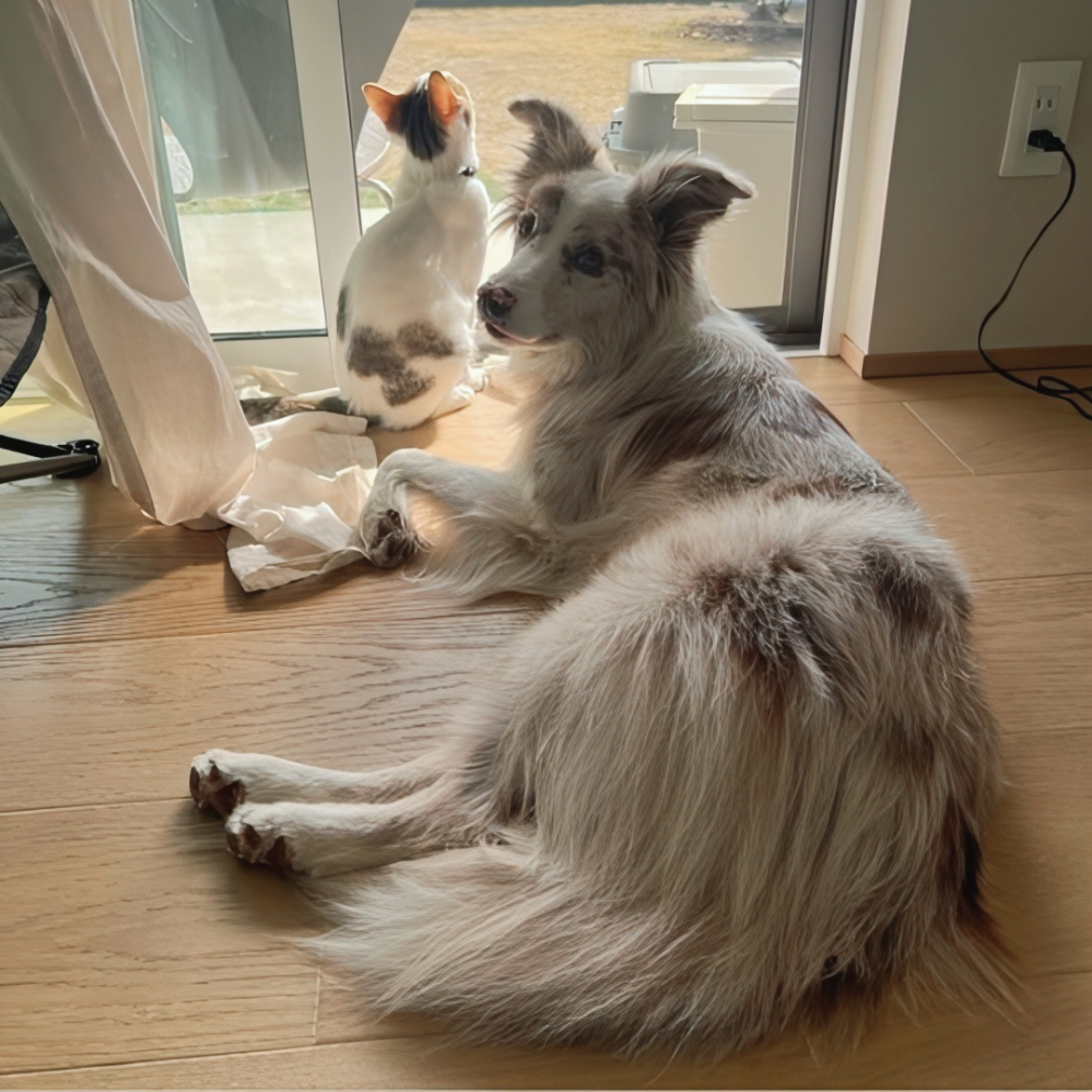 teamsのチームの並び替えについて質問です。 - 私はiPh... - Yahoo!知恵袋