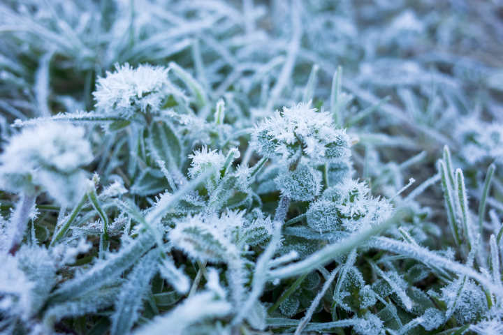 この動画のhttps://youtu.be/rGyQHyDMZZI?si=U... - Yahoo!知恵袋