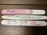 9/14に胚盤胞移植をし今日でBT11になります。フライング検査をBT8か... - Yahoo!知恵袋