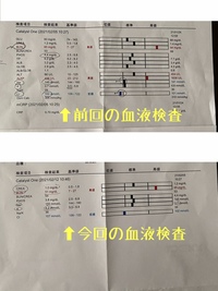 nfkさままたよろしくお願いします！2月1日https://detail.... - Yahoo!知恵袋