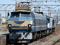 EF6627は、どうして人気なのでしょうか？ - 名前から「ニーナ」とよば... - Yahoo!知恵袋