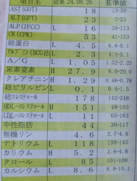 nfkさん、昨日は、お答えくださりありがとうございました。低アル... - Yahoo!知恵袋