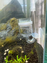 水草水槽を作ろうと30cmキューブ水槽にGEXの発酵式水草CO2... - Yahoo!知恵袋