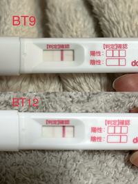 BT12検査薬の濃さ明日判定日なのですが不安で仕方ありません。BT9.BT... - Yahoo!知恵袋