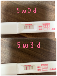 最終生理から多分5w3d？くらいです。あまりに悪阻などの症状もなく元気なの... - Yahoo!知恵袋