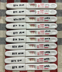 体外受精、胚移植後のドゥーテストでのフライング検査について教えてください。... - Yahoo!知恵袋