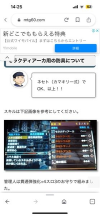 mhxxについて質問です。この装飾品は何を入れてますか？わかる方居たら教えて... - Yahoo!知恵袋