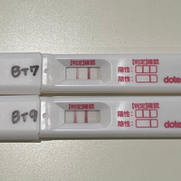 3/1にAHAした5AAの5日目胚盤胞を移植しました。BT7とBT... - Yahoo!知恵袋