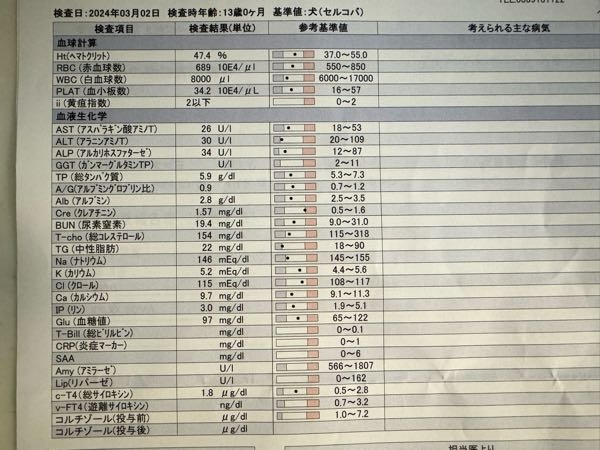 犬友っていますか？犬友と喧嘩やトラブルになったことがあれば教えてください。ど... - Yahoo!知恵袋