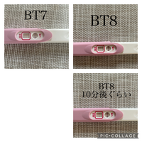 胚盤胞移植後BT7.BT8にだいたい同じ時間の朝にフライング検査をしました。... - Yahoo!知恵袋
