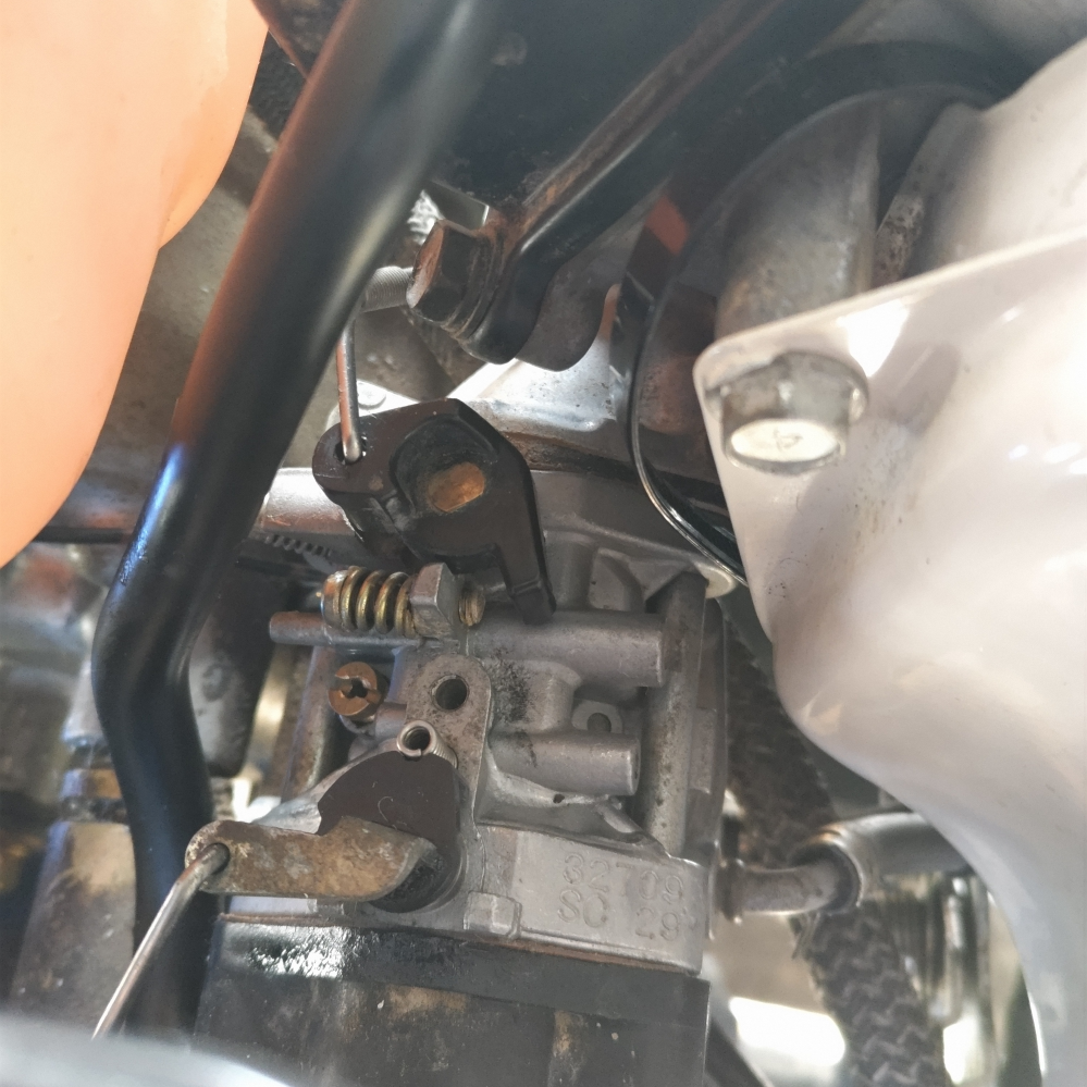 促成栽培と抑制栽培の違いを教えて下さい！ - 促成栽培では通... - Yahoo!知恵袋