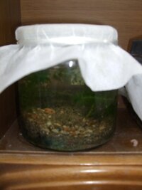 これで魚を飼えますか？ - http://detail.chieb... - Yahoo!知恵袋