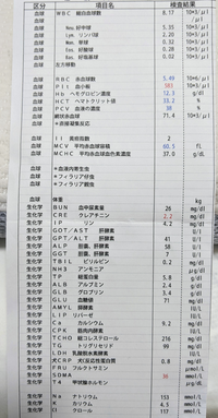 nfk様、ご無沙汰しております。pyrでございます。 - 1年前、薬剤性急性腎... - Yahoo!知恵袋