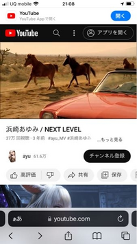 浜崎あゆみの歌NEXTLEVELに出てくる馬種類何に見えますか？ - サボテン... - Yahoo!知恵袋