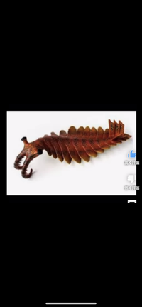 このSCPわかる人いますか？ - SCP-4131-三葉虫スレイヤ... - Yahoo!知恵袋