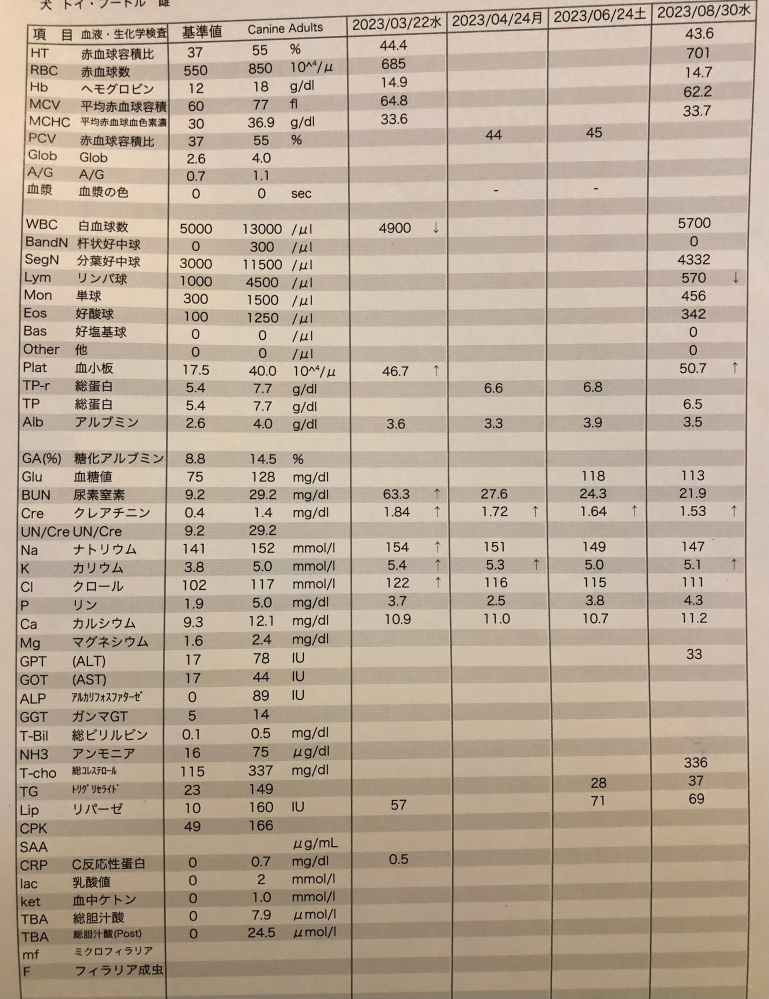 避妊手術をしていても画像のようなおりもの？が出ることはあるのでしょうか... - Yahoo!知恵袋