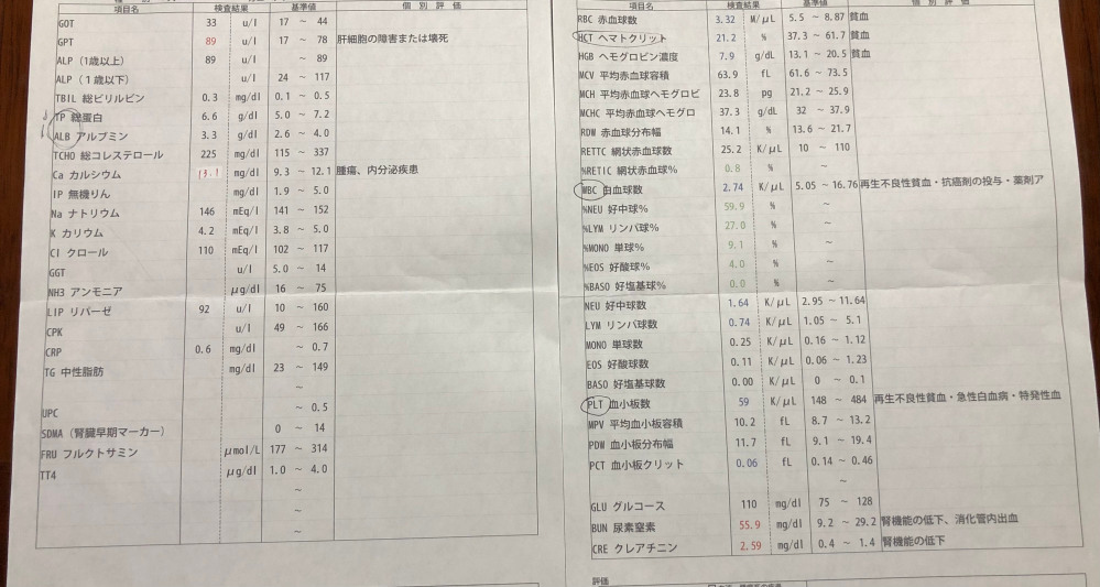 飼っている犬の座り方がちょっと変 - 皆さんが飼っている犬はもしかして... - Yahoo!知恵袋