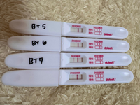 初めての胚盤移植をして本日BT8です。BT5〜フライング検査していてBT7で一... - Yahoo!知恵袋