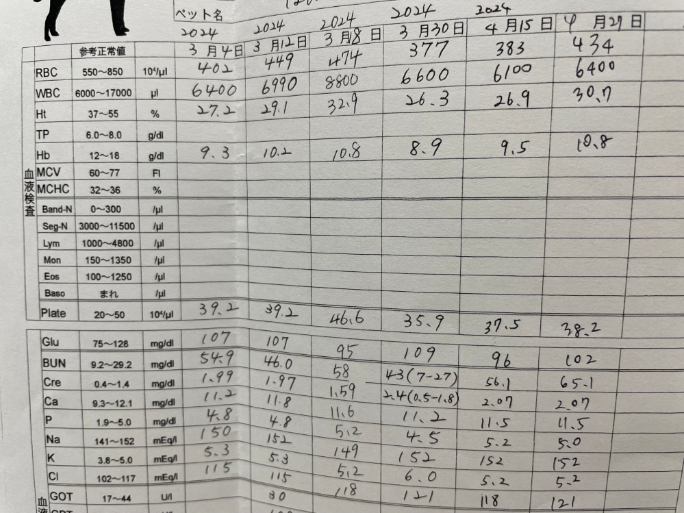 スタンダードシュナウザーのブリーダーさんは日本にいますか？ ... - Yahoo!知恵袋