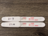 BT9判定日で、hCG321.6次はBT195w3dで胎嚢確認です。... - Yahoo!知恵袋