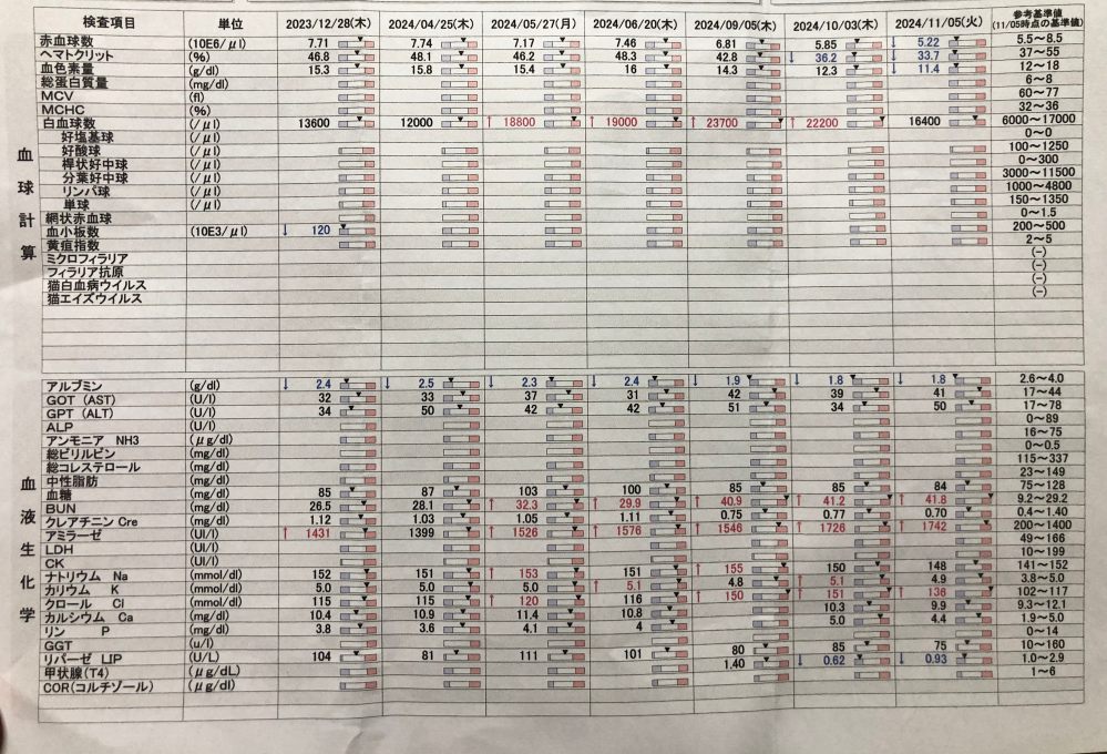多発性骨髄腫の検査について、M蛋白が検出されると、検査結果にど... - Yahoo!知恵袋