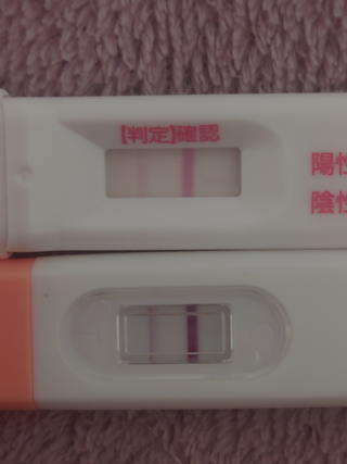 BT6です。フライングしましたが陰性でした。5BBの正常胚で... - Yahoo!知恵袋