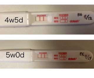 妊娠初期の体温について先月8/10に化学流産しました。5w5dでし... - Yahoo!知恵袋